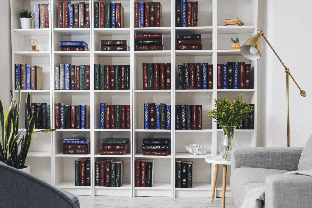 Plasterboard bookcase: tips, ideas and design examples